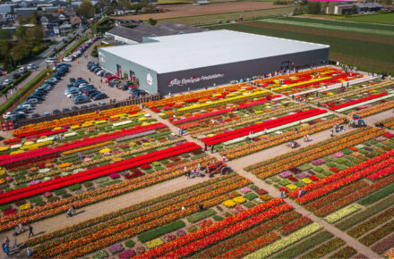 Bollenstreek | Genieten tussen strand en stad