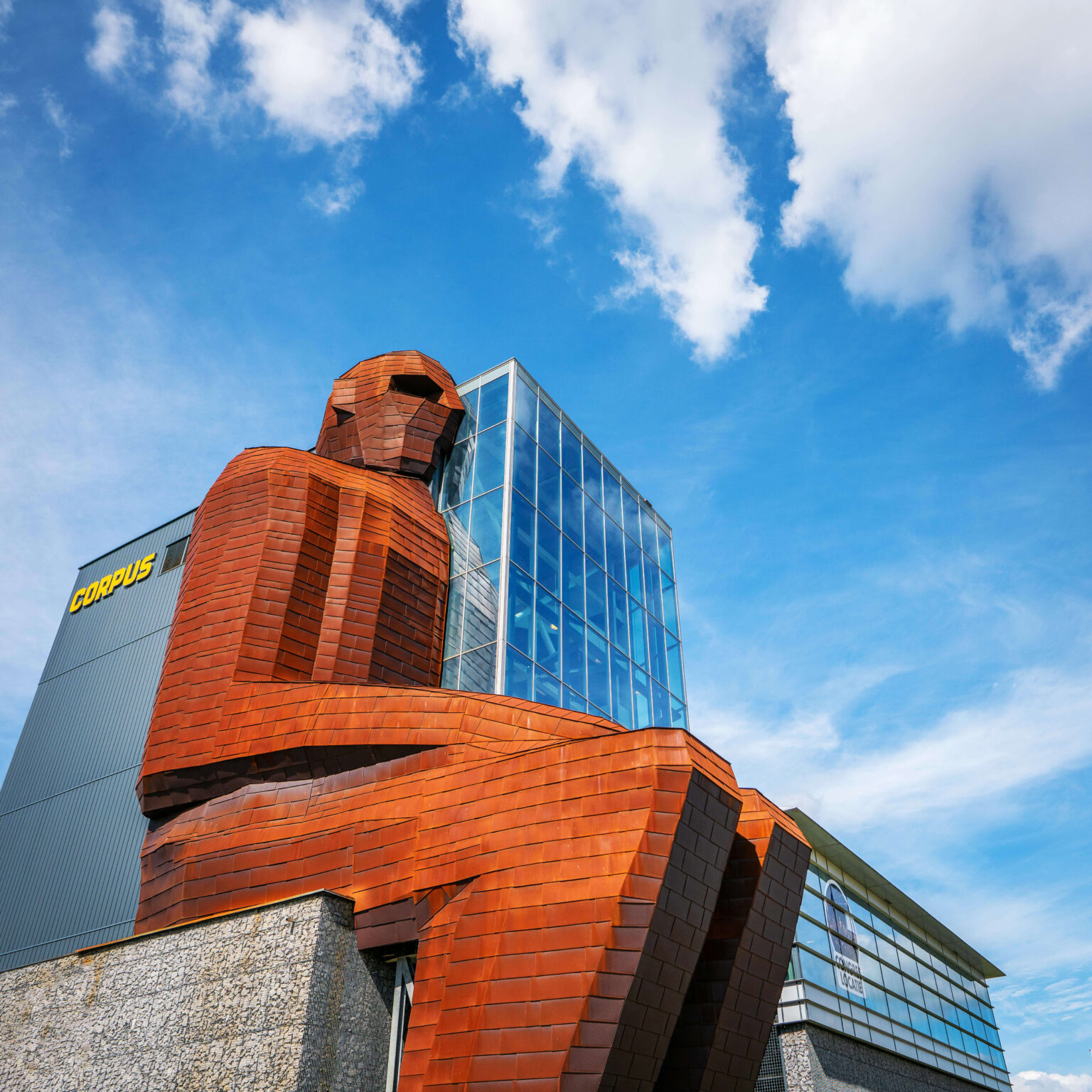 CORPUS Experience - Discover the wonders of the human body!